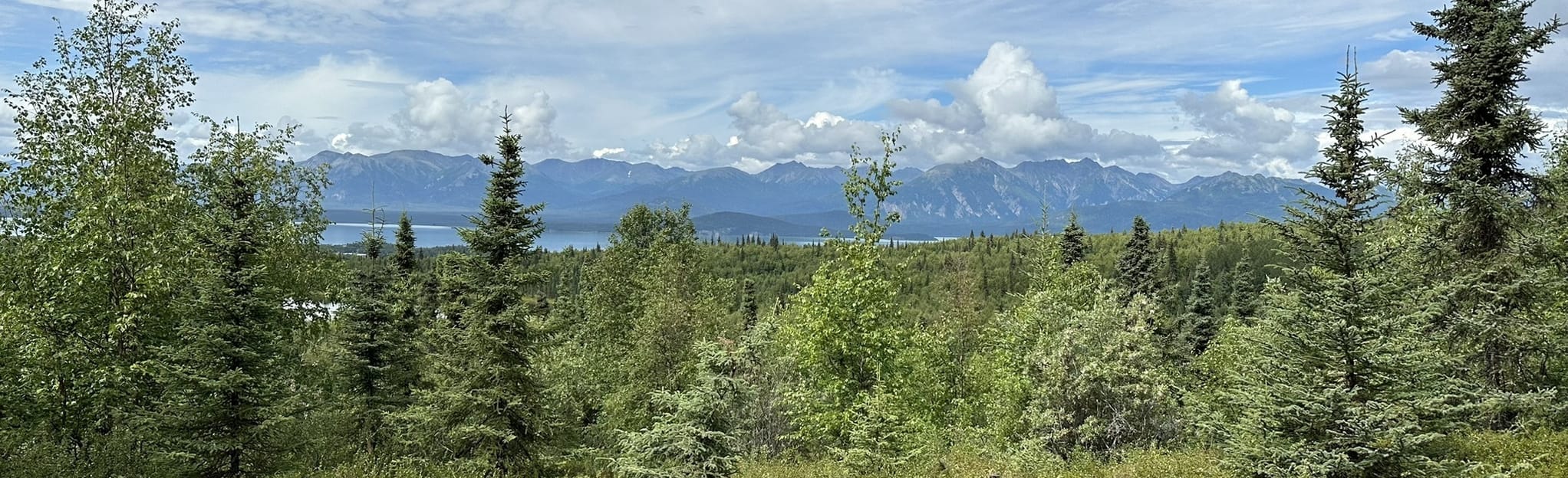 Beaver Pond Loop: 55 Reviews, Map - Alaska | AllTrails