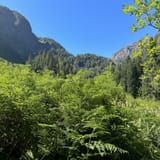 Century Sam Lake, British Columbia, Canada - 446 Reviews, Map | AllTrails