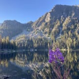 Lake Stuart Trail, Washington - 684 Reviews, Map | AllTrails
