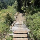 Mount Emily Recreation Area Loop, Oregon - 246 Reviews, Map | AllTrails