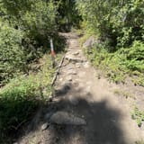 Mount Emily Recreation Area Loop, Oregon - 246 Reviews, Map | AllTrails