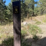 Mount Emily Recreation Area Loop, Oregon - 246 Reviews, Map | AllTrails