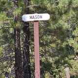 Bizz Johnson Trail, California - 186 Reviews, Map | AllTrails