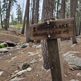 Weaver Lake Trail, California - 861 Reviews, Map | AllTrails