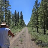 Bizz Johnson Trail, California - 186 Reviews, Map | AllTrails