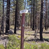 Bizz Johnson Trail, California - 186 Reviews, Map | AllTrails