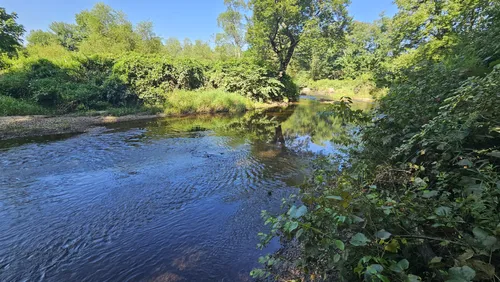 Best Hikes and Trails in Hop Brook Lake Recreation Area | AllTrails