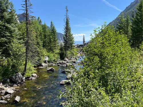 10 Best Hikes and Trails in Bitterroot National Forest | AllTrails