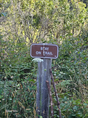 Best Hikes and Trails in Azalea State Natural Reserve | AllTrails