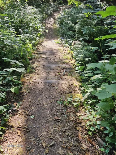 Best Hikes and Trails in Azalea State Natural Reserve | AllTrails