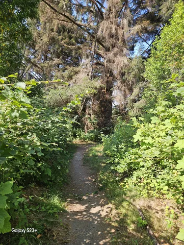 Best Hikes and Trails in Azalea State Natural Reserve | AllTrails