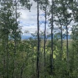 Scout Ridge Trail, Alaska - 242 Reviews, Map | AllTrails