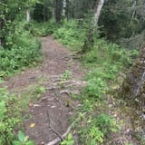 Scout Ridge Trail, Alaska - 280 Reviews, Map | AllTrails