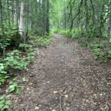 Scout Ridge Trail, Alaska - 280 Reviews, Map | AllTrails