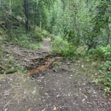 Scout Ridge Trail, Alaska - 280 Reviews, Map | AllTrails