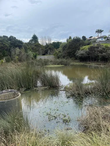 Best Hikes and Trails in Unsworth Reserve | AllTrails