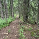 Scout Ridge Trail, Alaska - 255 Reviews, Map | AllTrails