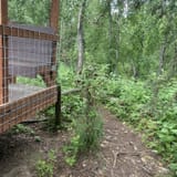 Scout Ridge Trail, Alaska - 255 Reviews, Map | AllTrails