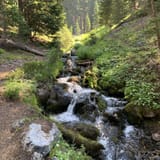 Obsidian Trail, Oregon - 678 Reviews, Map | AllTrails