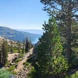 Historic Donner Pass Trail, California - 700 Reviews, Map | AllTrails