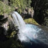 Koosah and Sahalie Falls Trail, Oregon - 1,537 Reviews, Map | AllTrails