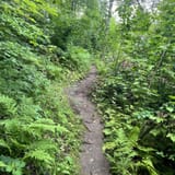 Carlton and Thomson Trail Loop, Minnesota - 568 Reviews, Map | AllTrails