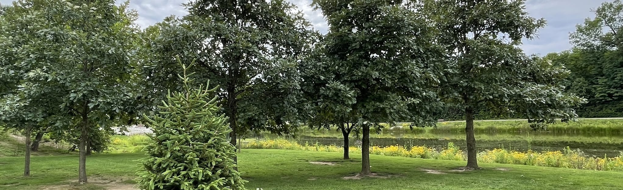 Avon Town Hall Park Trail, Indiana - 24 Reviews, Map | AllTrails