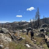Lake Margaret Trail, California - 1,012 Reviews, Map | AllTrails