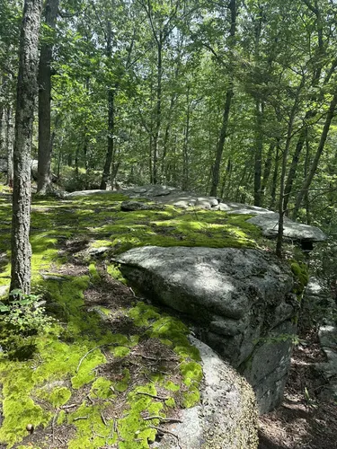 10 Best Hikes and Trails in Case Mountain Park | AllTrails