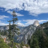 Mono Meadow Trail, California - 78 Reviews, Map | AllTrails