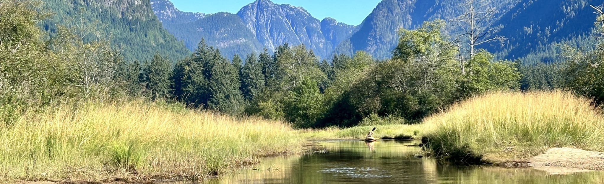 Widgeon Lake Trail, British Columbia, Canada - 83 Reviews, Map | AllTrails
