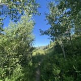 Donner Reed Party and Mormon Pioneer Route (Little Emigration Canyon ...
