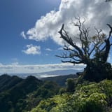 Moanalua Valley and Tripler Ridge Trail Loop, Oahu, Hawaii - 191 ...