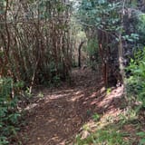 Moanalua Valley and Tripler Ridge Trail Loop, Oahu, Hawaii - 191 ...