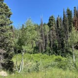 Donner Reed Party and Mormon Pioneer Route (Little Emigration Canyon ...
