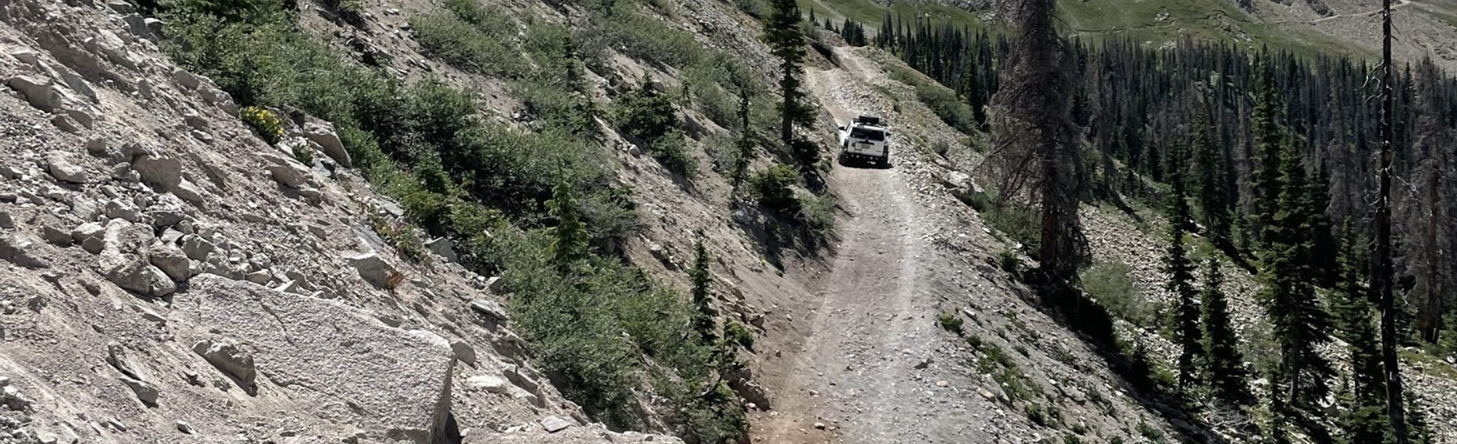 Tomichi Pass, Colorado - 9 Reviews, Map | AllTrails