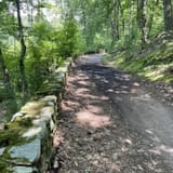 White and Pink Trail Loop, Connecticut - 1,254 Reviews, Map | AllTrails