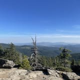 Mount Kit Carson Trail, Washington - 902 Reviews, Map | AllTrails