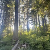 Mount Kit Carson Trail, Washington - 902 Reviews, Map | AllTrails