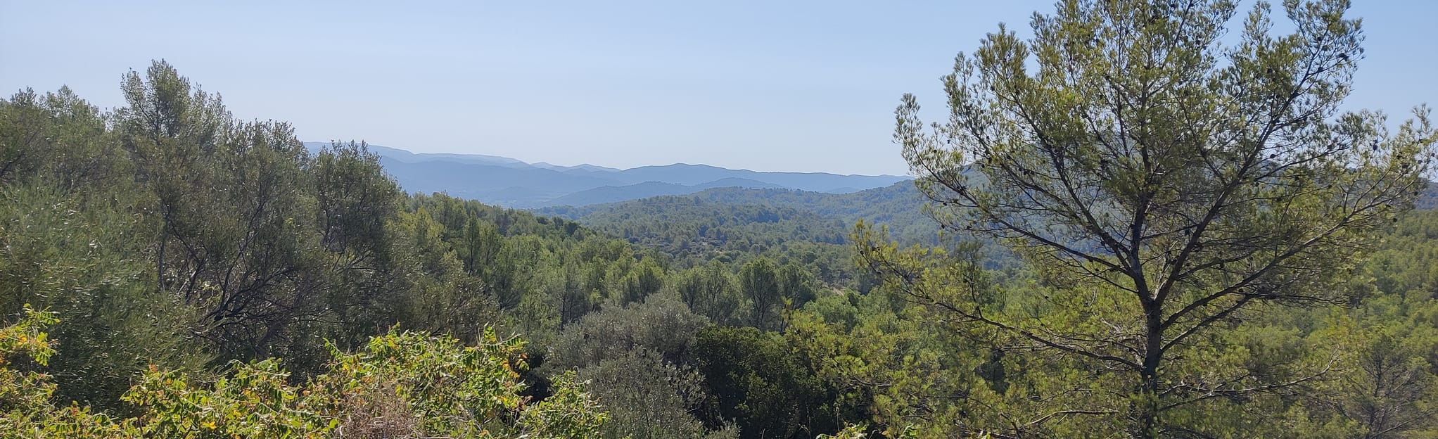 Barre de Cuers: 6 Reviews, Map - Var, France | AllTrails