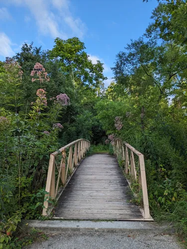 Best Hikes and Trails in Walrond Park | AllTrails