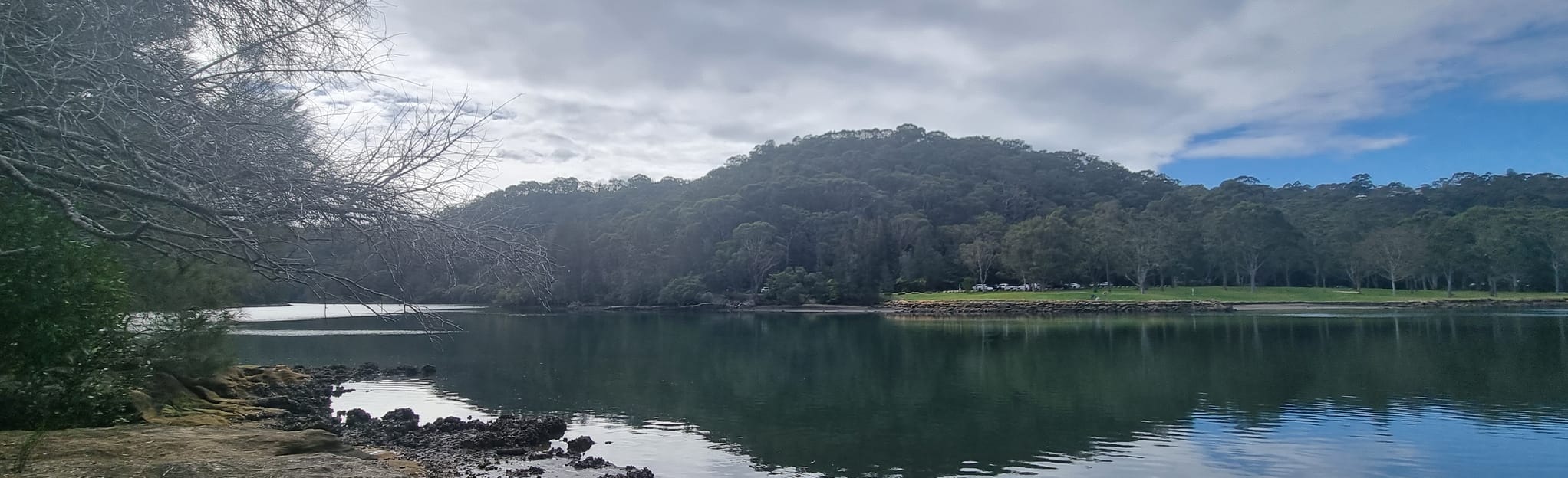 Lindfield Loop via Two Creeks Track, New South Wales, Australia - 25 Reviews, Map | AllTrails