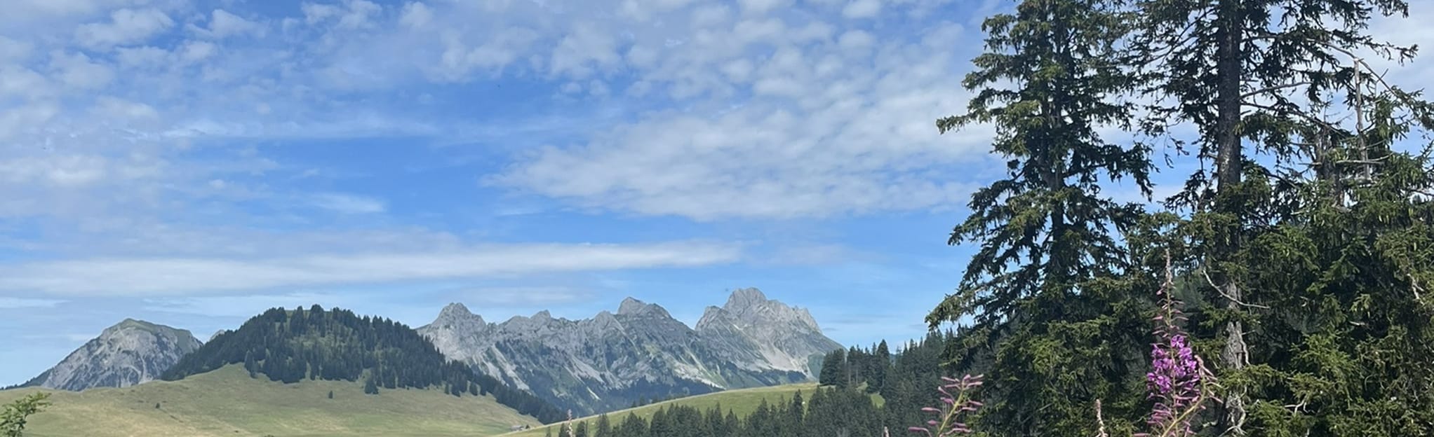 Lake Lioson via Col des Mosses: 15 Reviews, Map - Vaud, Switzerland ...