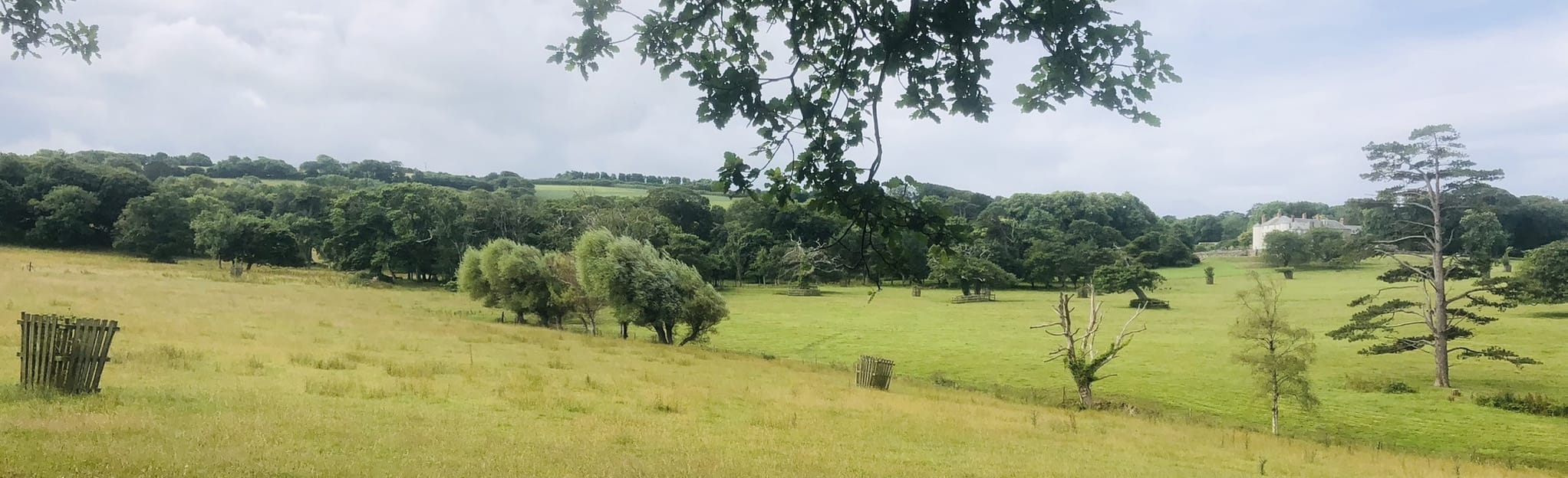 Bucks Mill to Titchberry via The Hobby Drive and the South West Coast ...