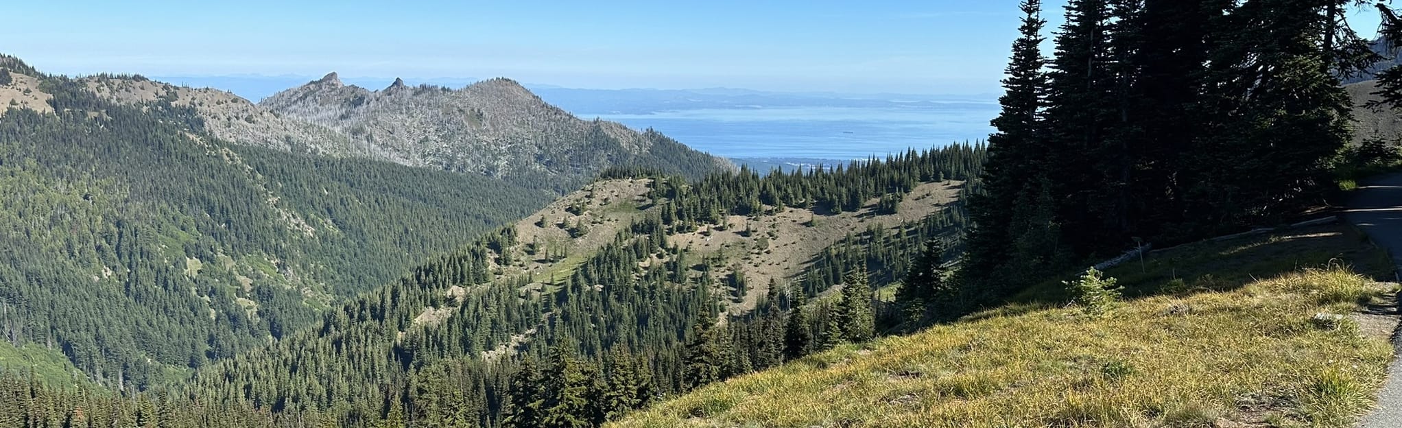 Big Meadow Loop: 316 foto - Washington | AllTrails