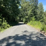 Currahee Mountain, Georgia - 605 Reviews, Map | AllTrails