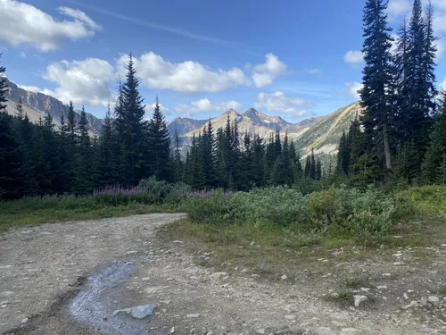 Best Hikes and Trails in Stein Valley Nlaka’pamux Heritage Park | AllTrails