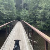 Bee Brook Loop, Connecticut - 1,001 Reviews, Map | AllTrails