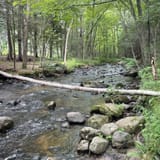 Bee Brook Loop, Connecticut - 1,001 Reviews, Map | AllTrails