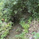 Sippo Lake Trail, Ohio - 696 Reviews, Map | AllTrails